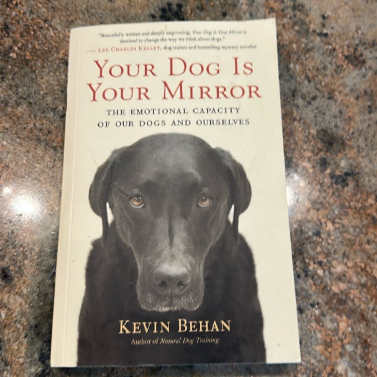 Your Dog Is Your Mirror by Kevin Behan