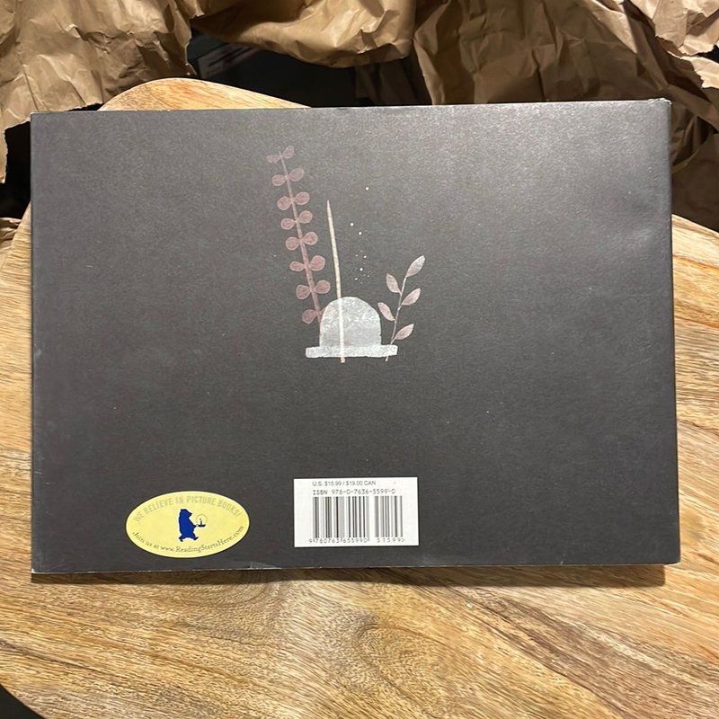 This Is Not My Hat by Jon Klassen, Hardcover | Pangobooks