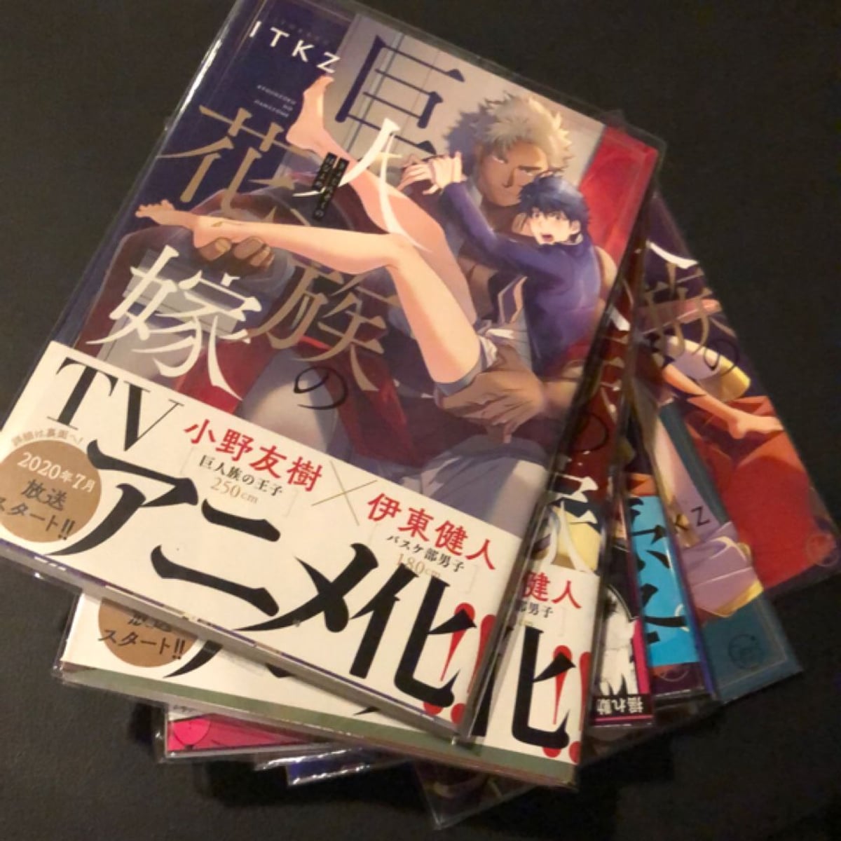 The Titan’s Bride Vol. 1 -4 *** Japanese*** by ITKZ, Paperback | Pangobooks