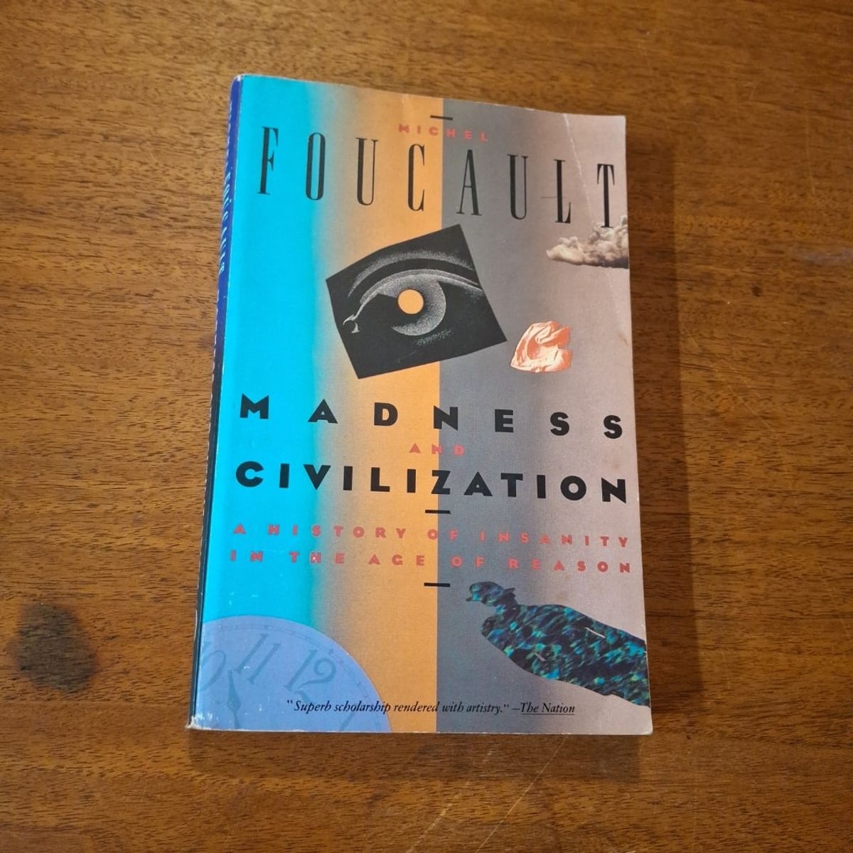 Madness and Civilization by Michel Foucault