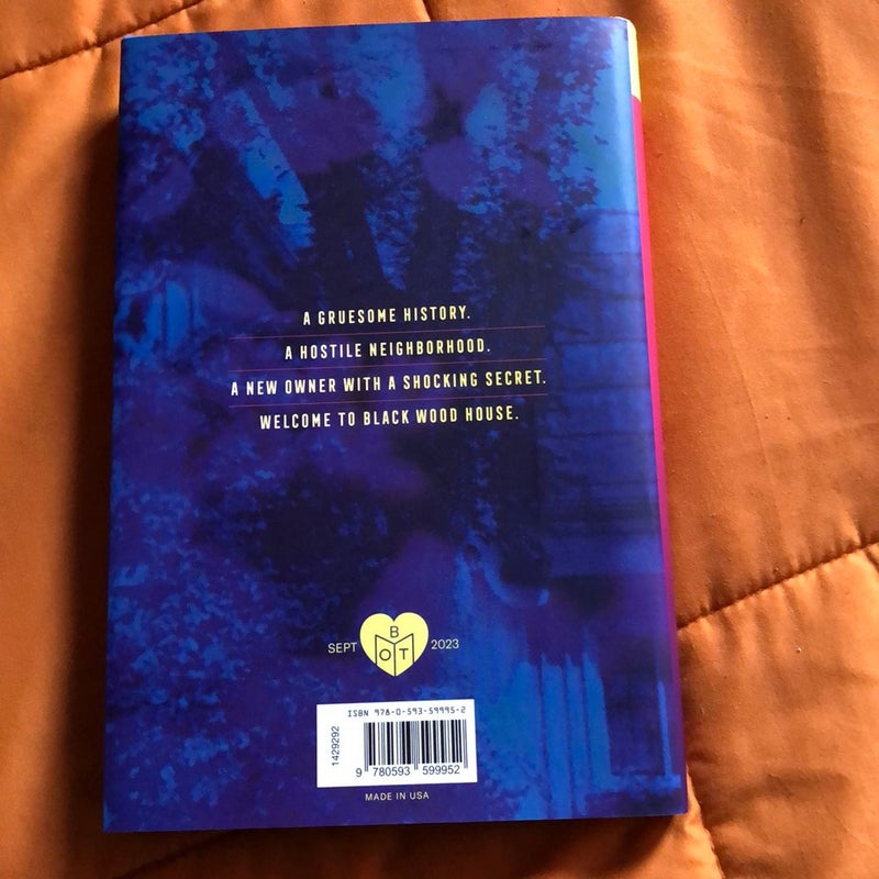 The Stranger Upstairs by Lisa M. Matlin, Hardcover | Pangobooks