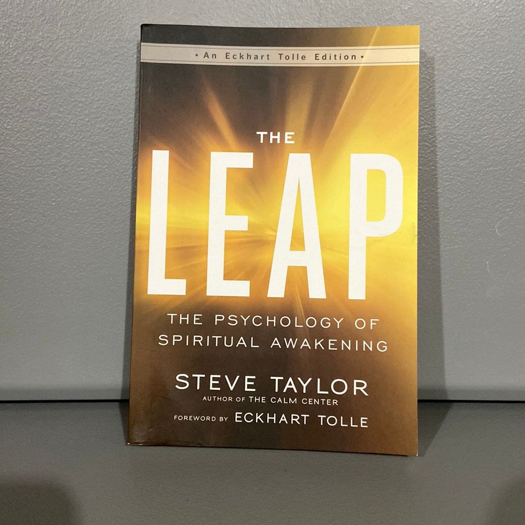 The Leap by Steve Taylor, Paperback | Pangobooks