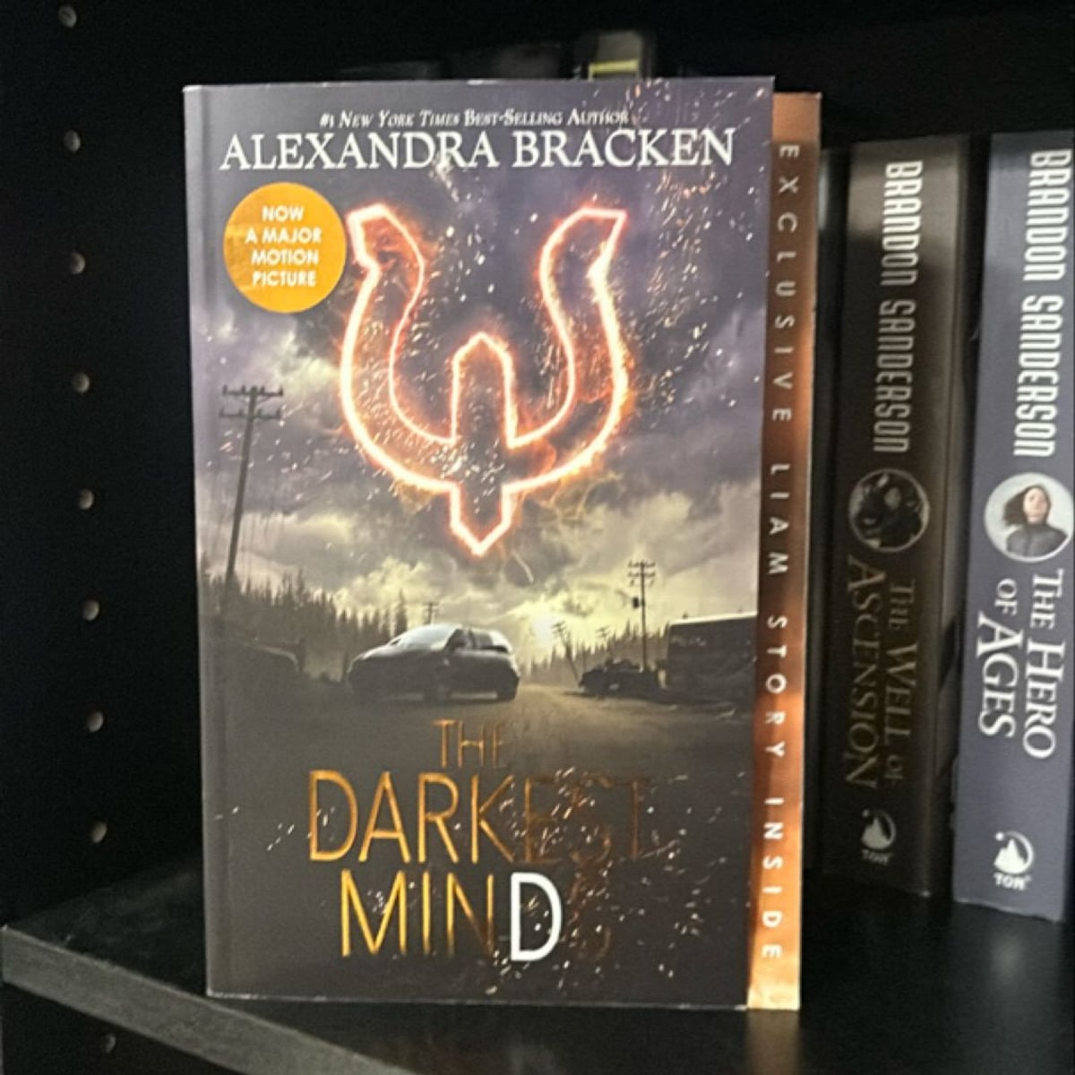 The Darkest Minds (a Darkest Minds Novel, Book 1) by Alexandra Bracken