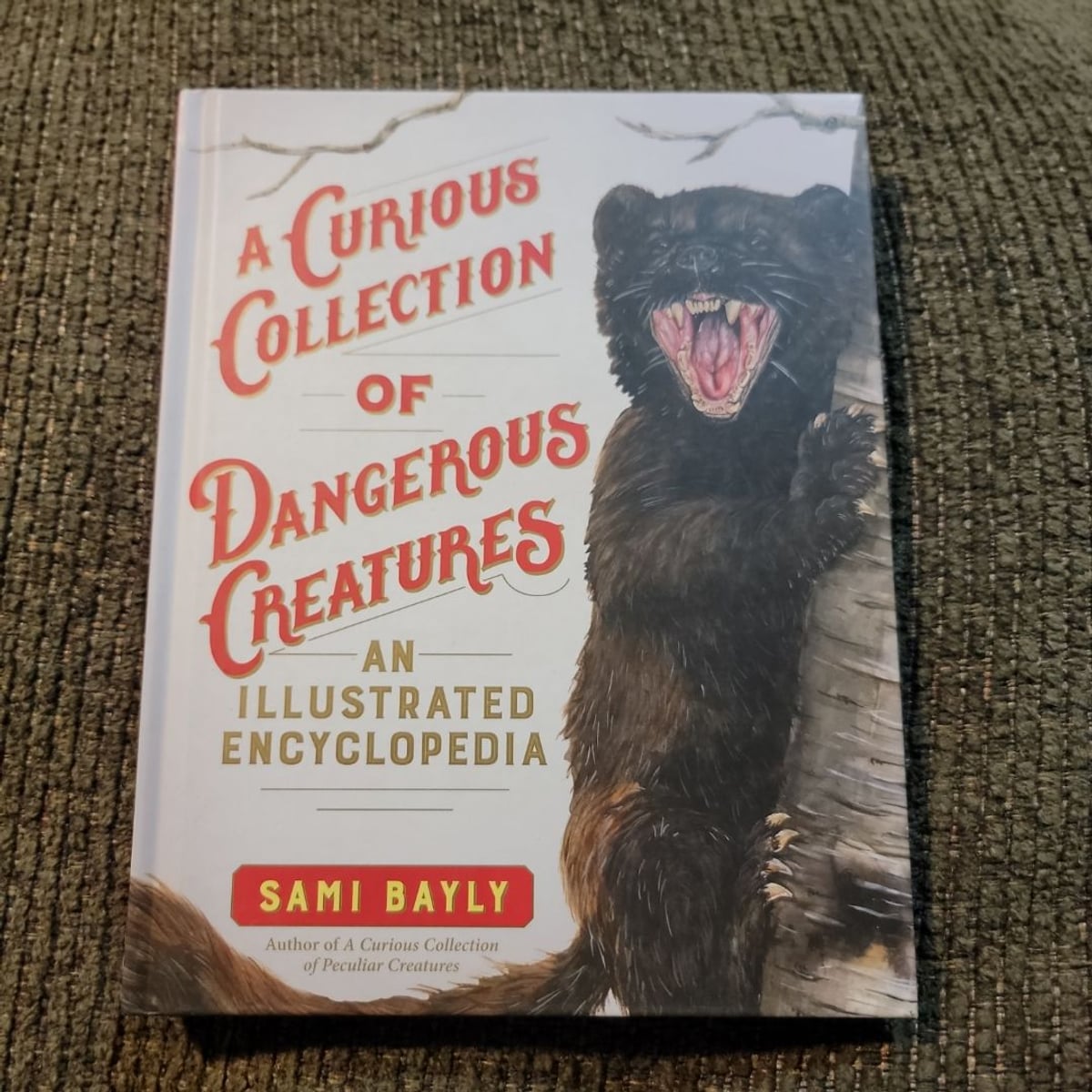 A Curious Collection of Dangerous Creatures by Sami Bayly