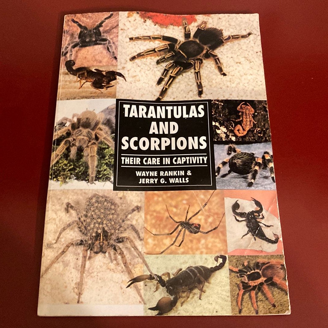 Tarantulas and Scorpions by W. Rankin