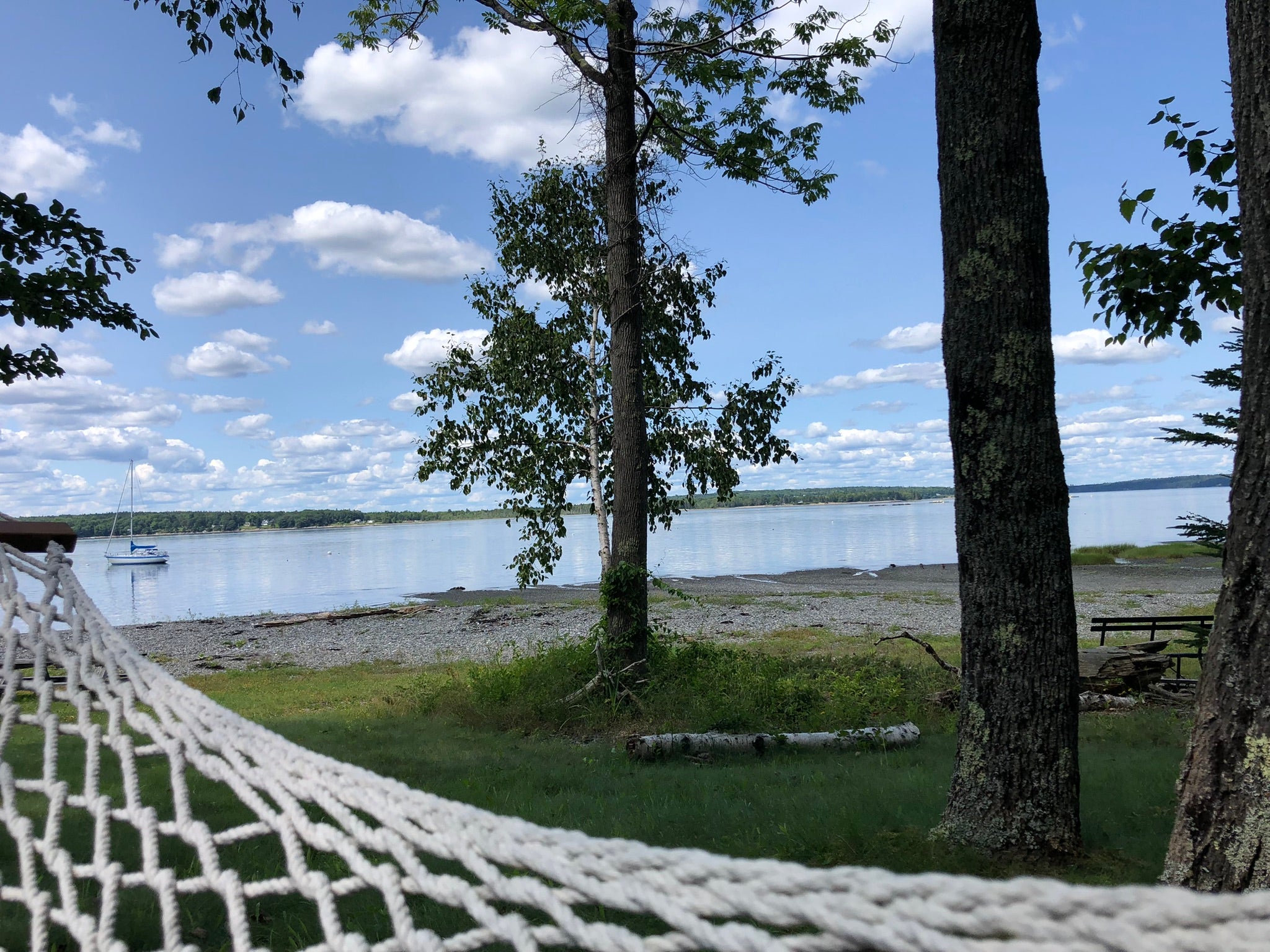 Book Treasures For All's Bookstore | Pango Books