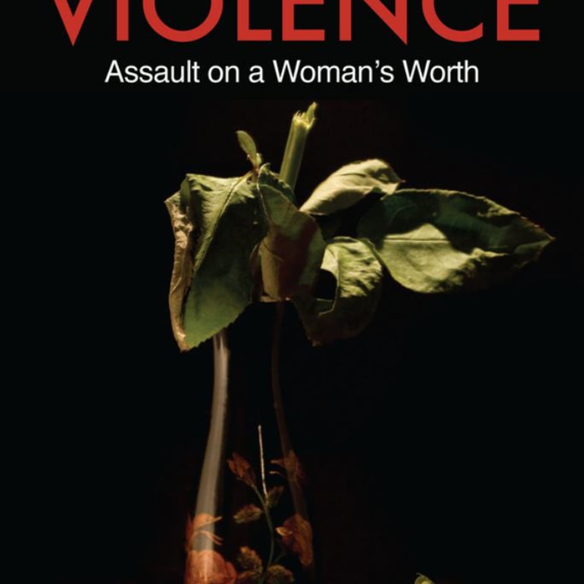 Domestic Violence [June Hunt Hope for the Heart] by June Hunt