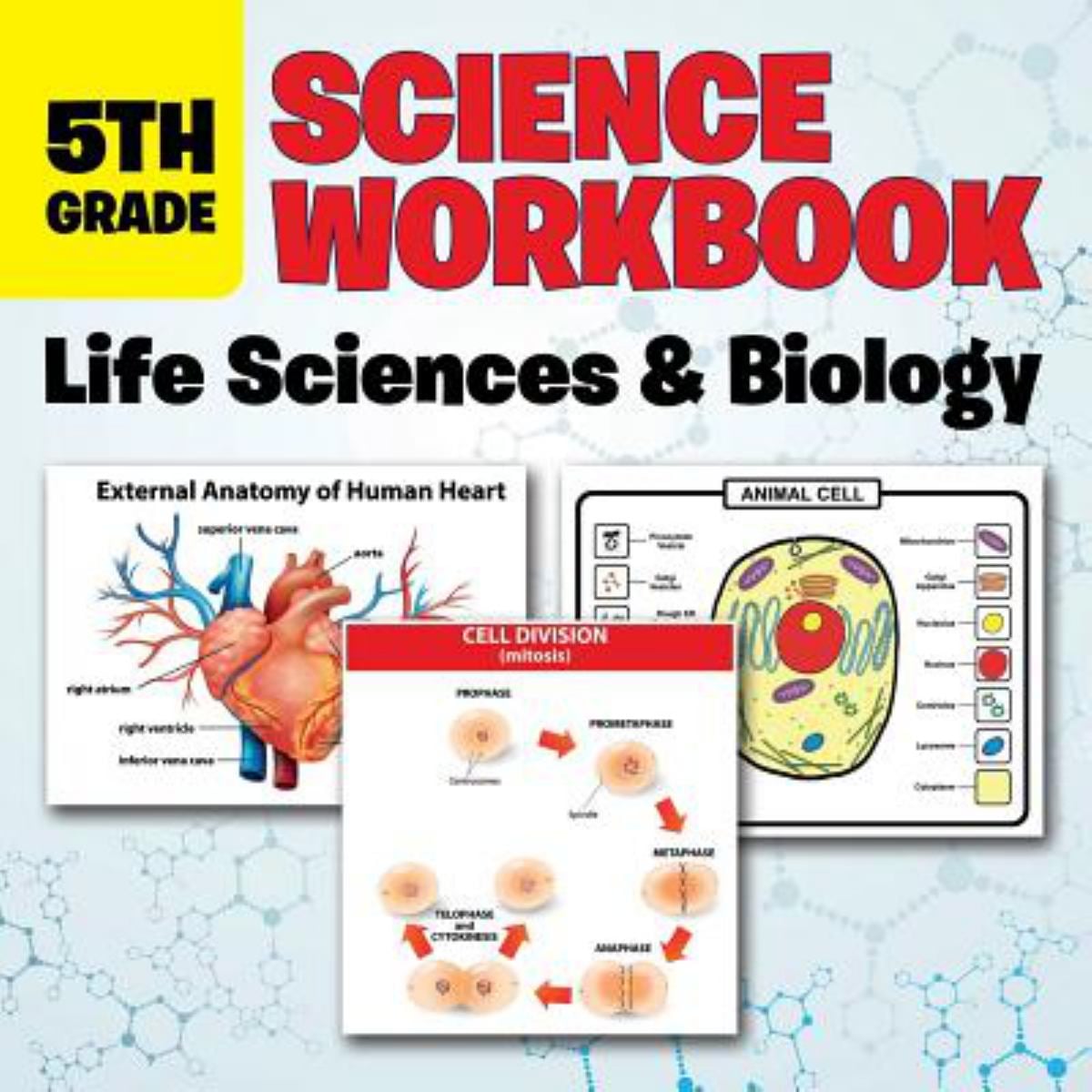 5th Grade Science Workbook by Baby Professor