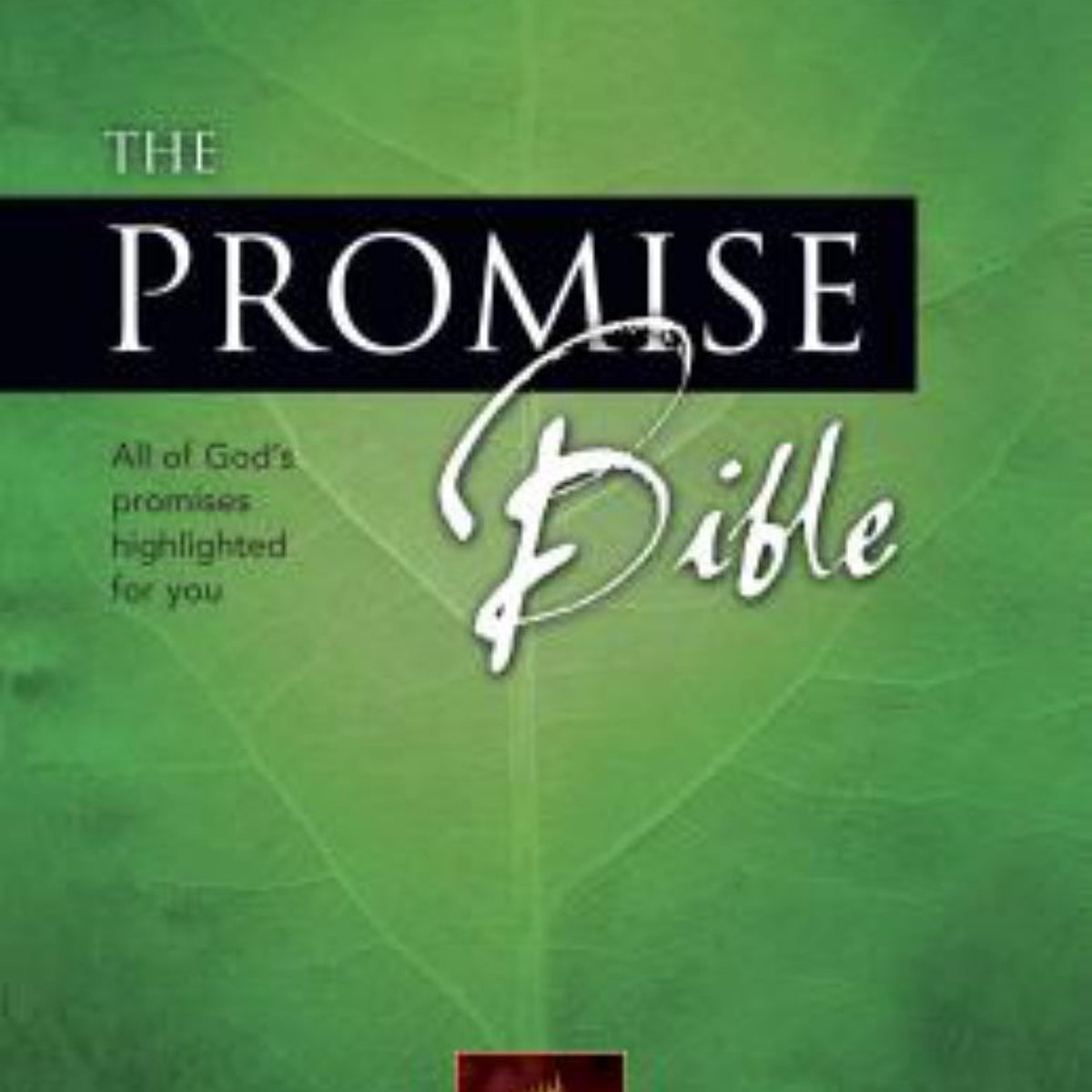 The Promise Bible by Ron Beers, Gilbert Beers, Douglas J. Rumford