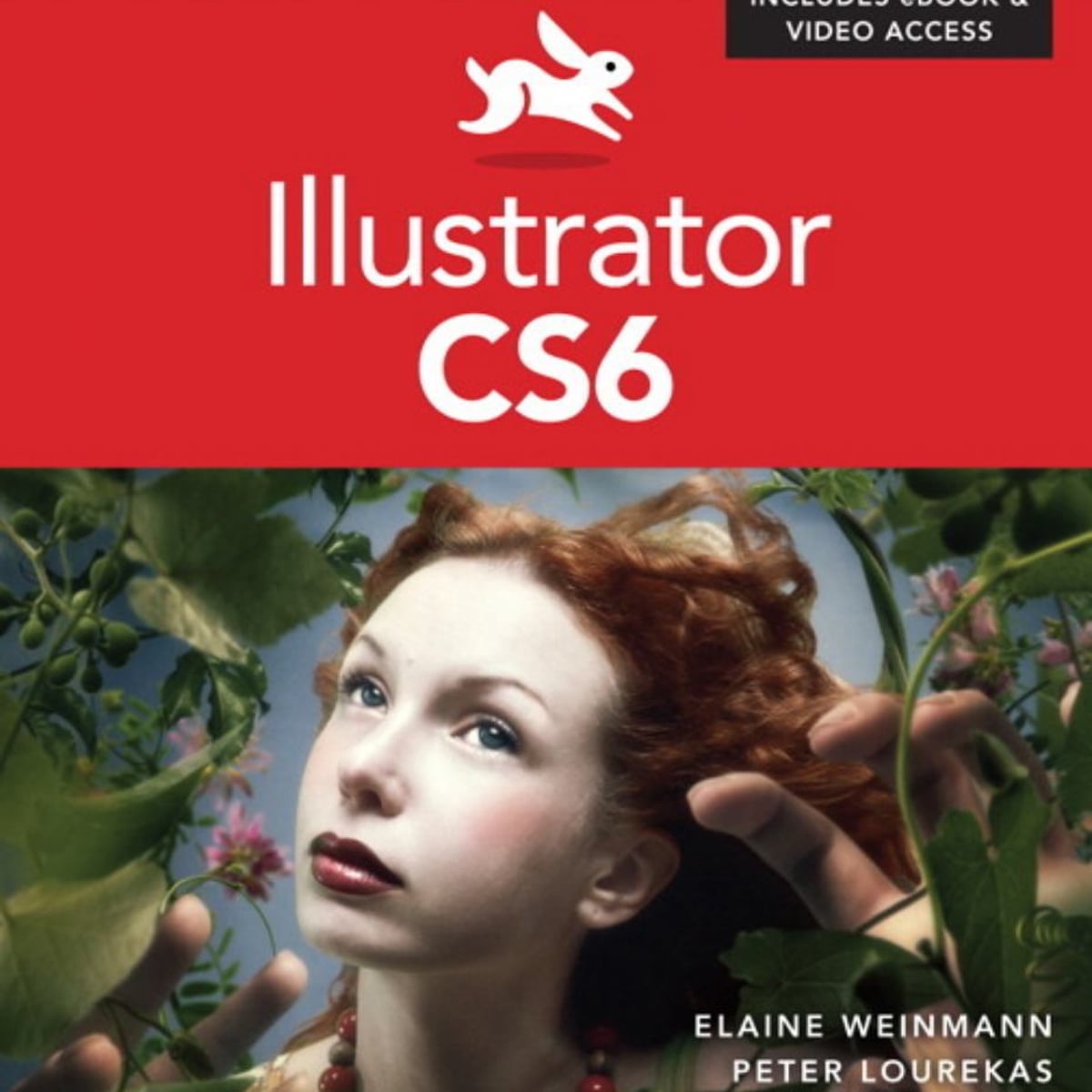 Illustrator CS6 by Peter Lourekas, Elaine Weinmann