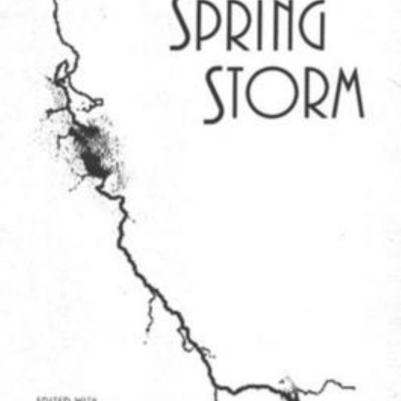 Spring Storm by Tennessee Williams | Pangobooks