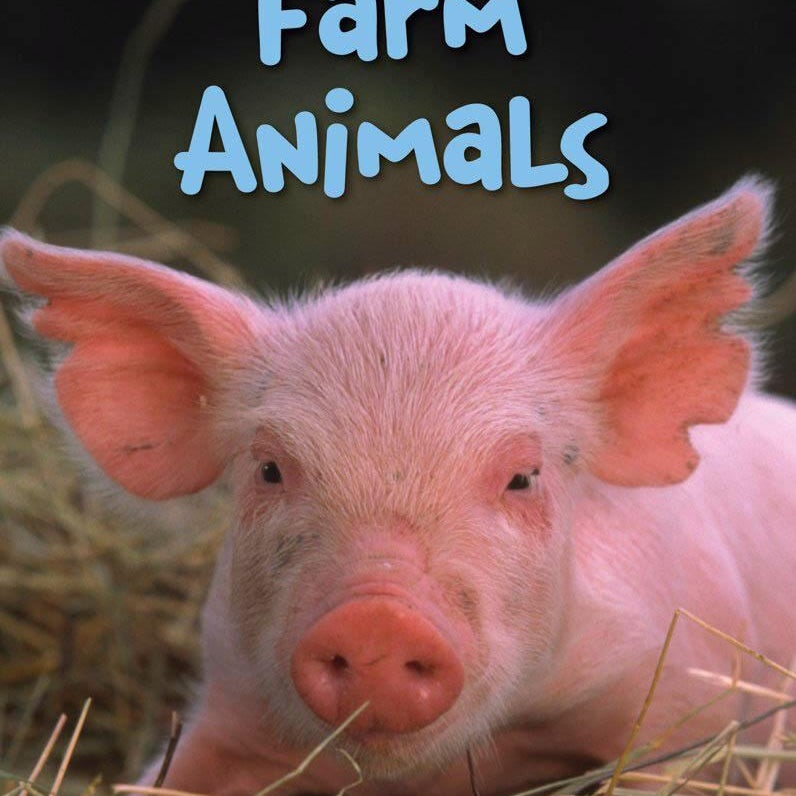 Farm Animals by Scholastic True or False | Pangobooks