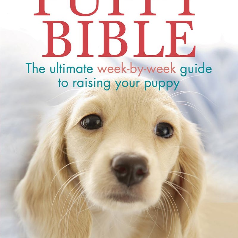 Puppy Bible by Claire Arrowsmith | Pangobooks