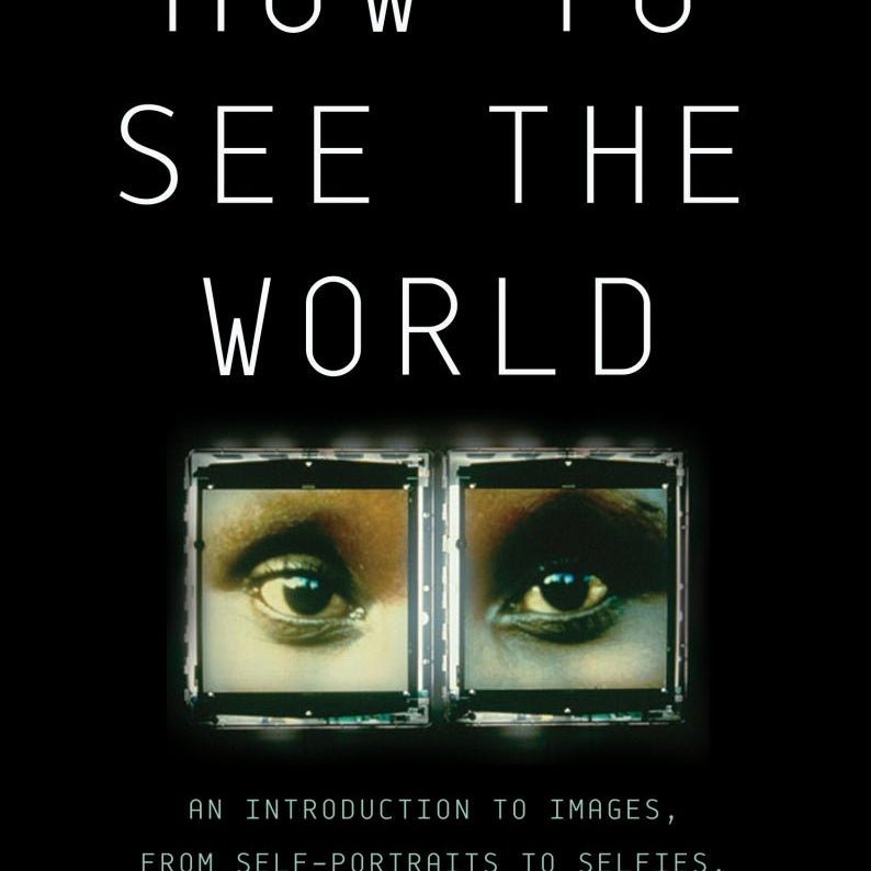 How to See the World by Nicholas Mirzoeff