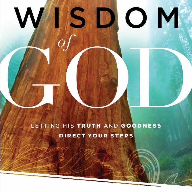 The Wisdom of God by A. W. Tozer | Pangobooks