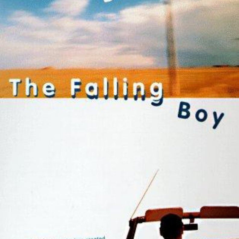 The Falling Boy by David Long