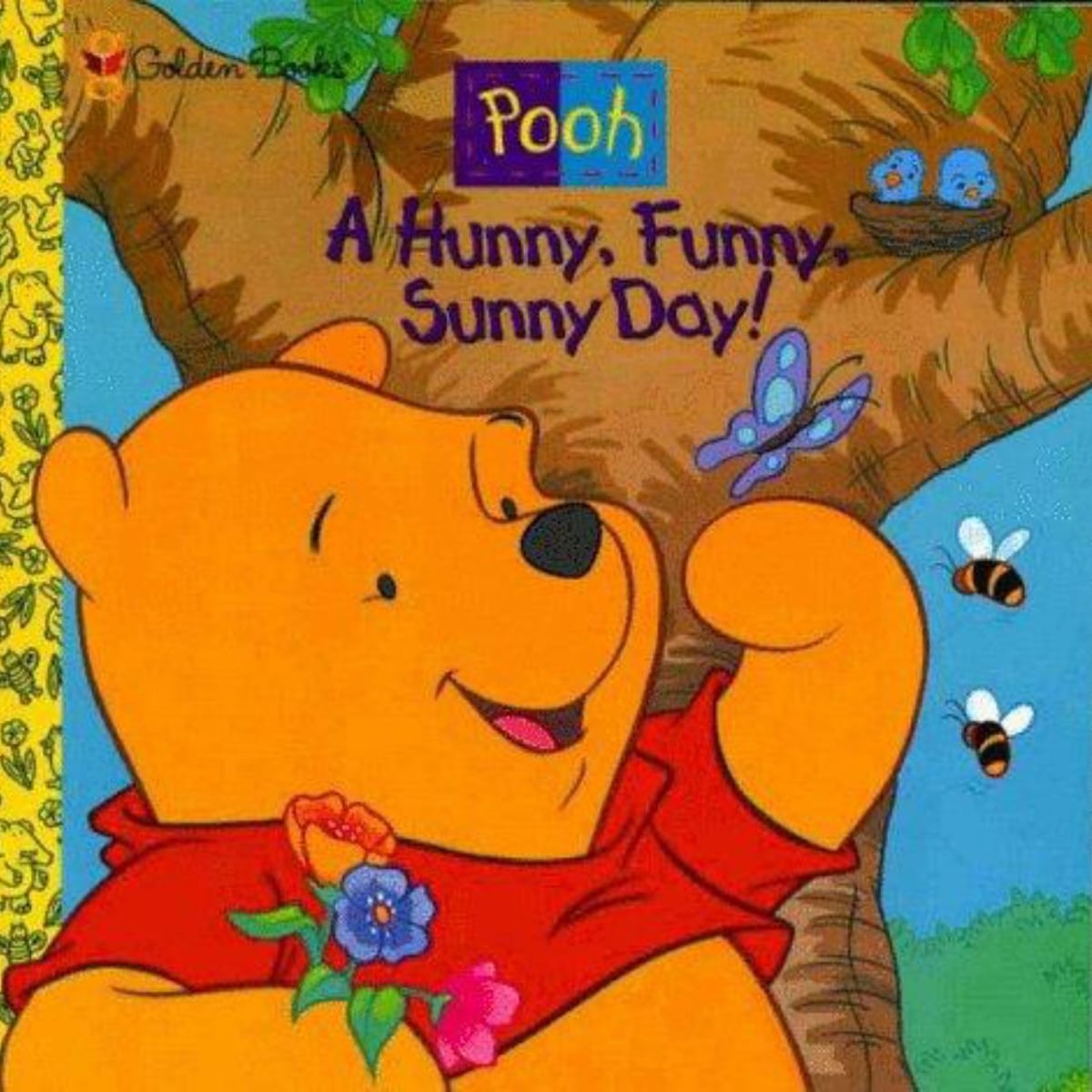 Hunny, Funny, Sunny Day by Ann Braybrooks