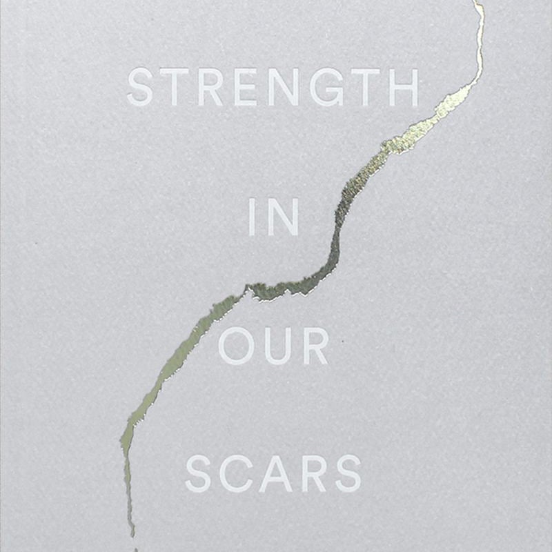 The Strength in Our Scars The Strength in Our Scars