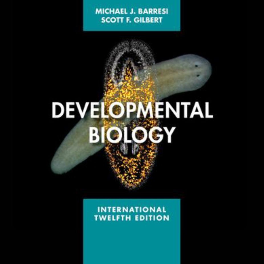 Developmental Biology by Michael J. F. Barresi, Scott F. Gilbert