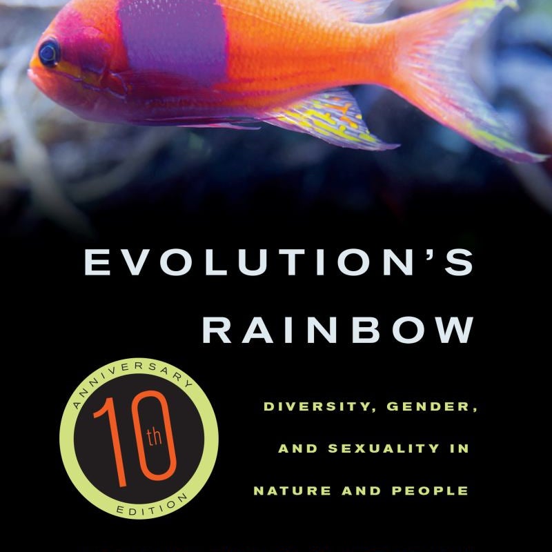Evolution's Rainbow by Joan Roughgarden | Pangobooks