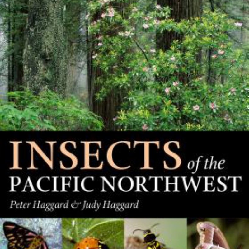 Insects of the Pacific Northwest by Peter Haggard | Pangobooks