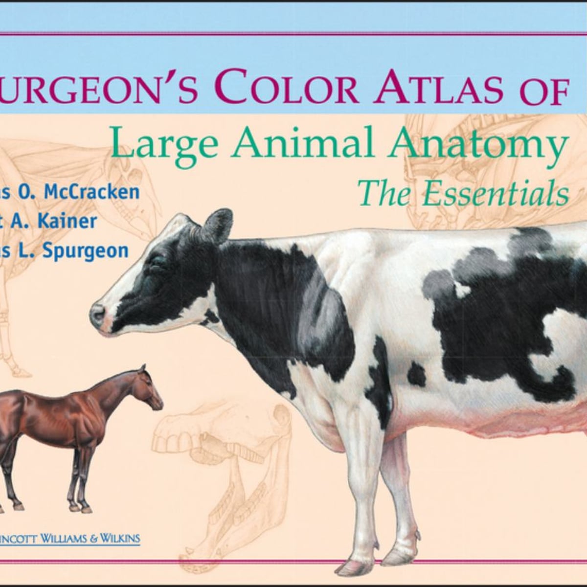 Spurgeon's Color Atlas of Large Animal Anatomy by Thomas O. McCracken ...
