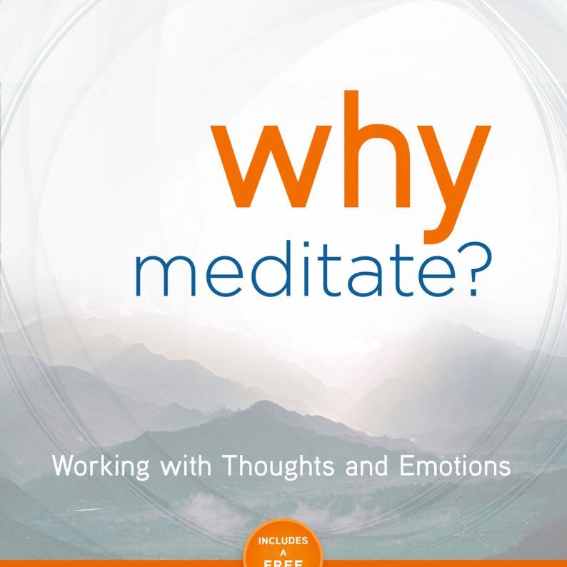 Why Meditate by Matthieu Ricard