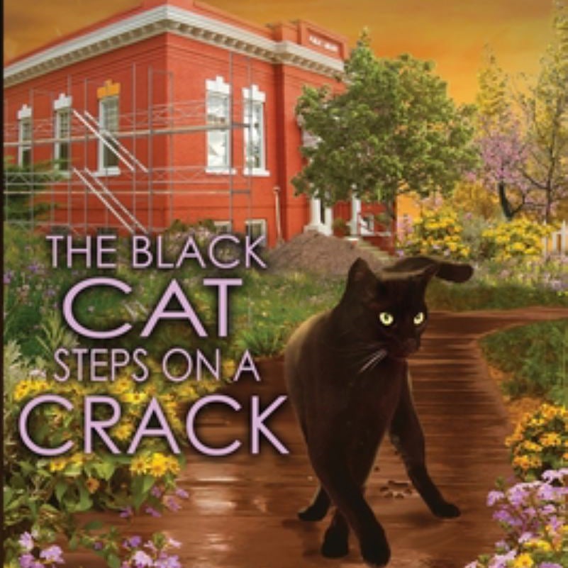 The Black Cat Steps on a Crack by Kay Finch
