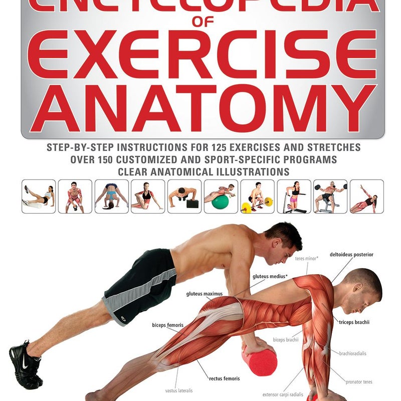 Encyclopedia of Exercise Anatomy by Hollis Lance Liebman, Hollis Lance ...