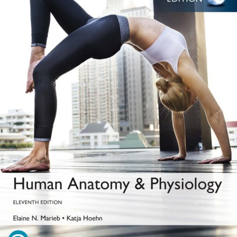 Human Anatomy and Physiology, Global Edition by Elaine Marieb, Katja Hoehn