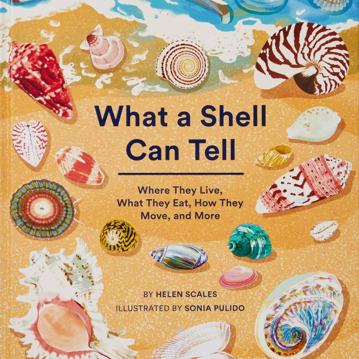 What a Shell Can Tell by Helen Scales, Sonia Pulido