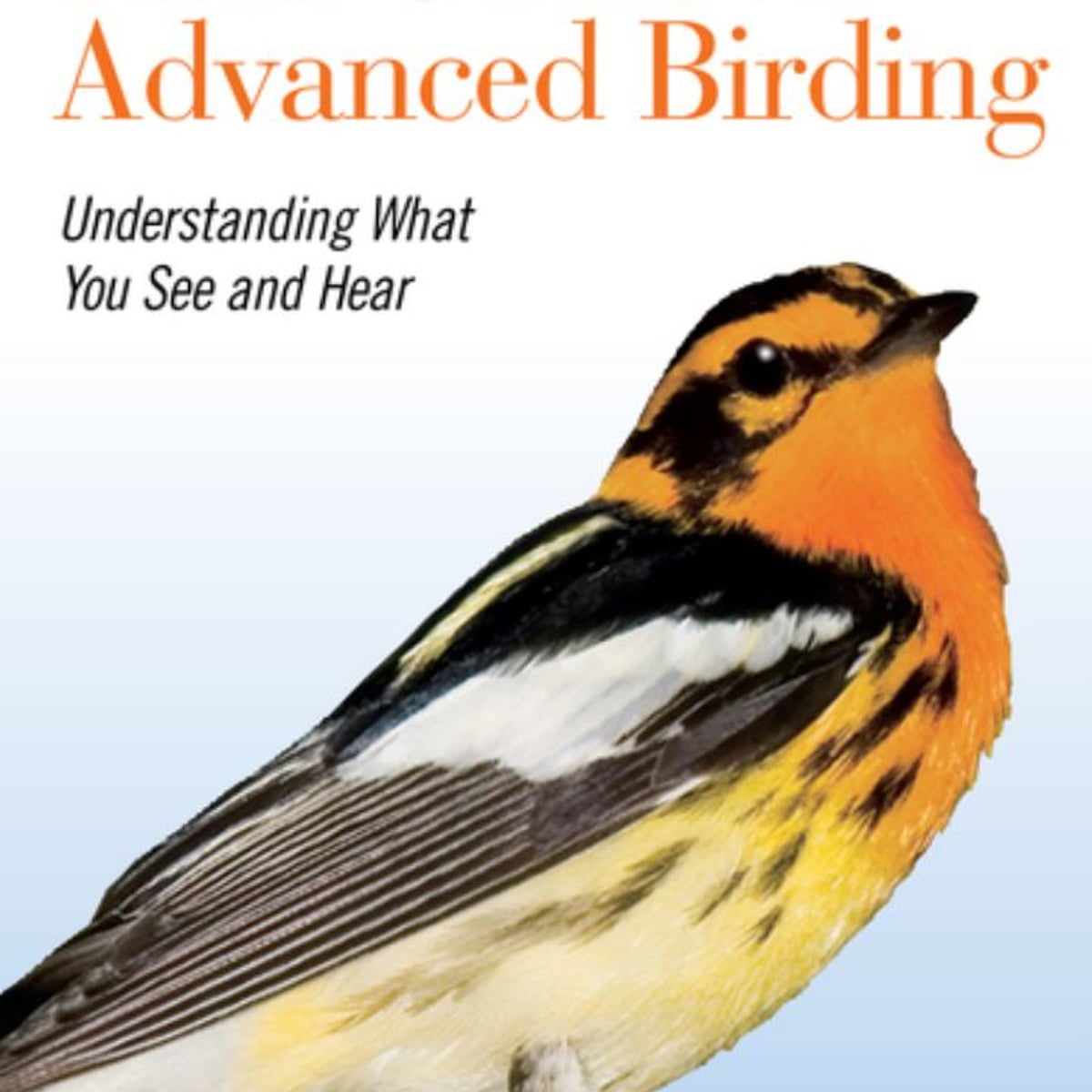 Kaufman Field Guide to Advanced Birding by Kenn Kaufman