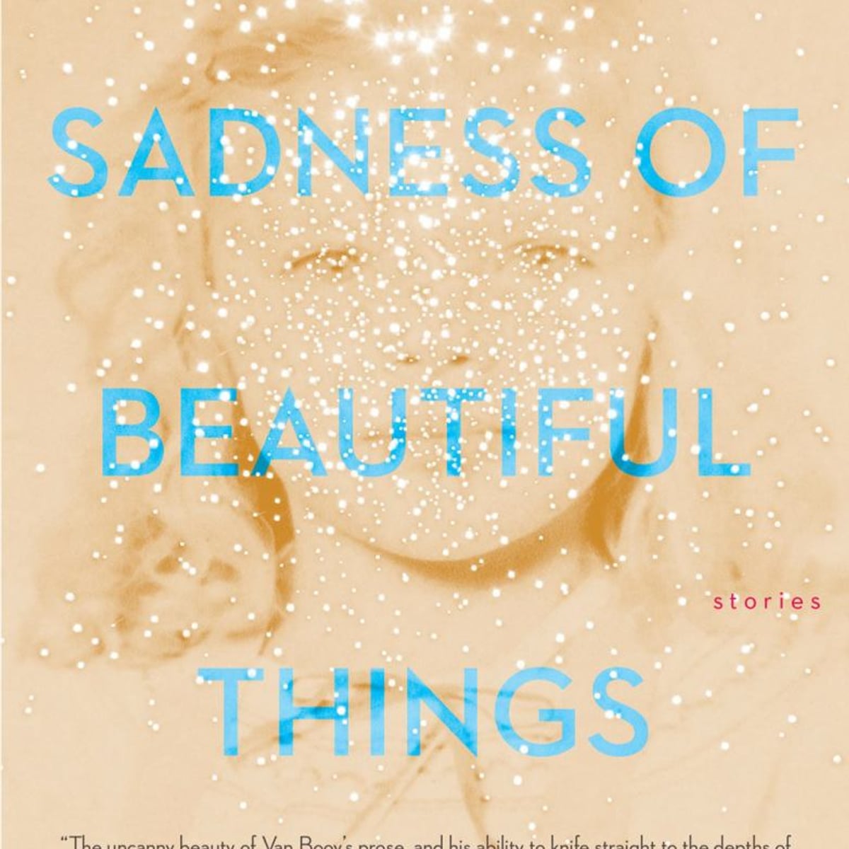 The Sadness of Beautiful Things by Simon Van Booy