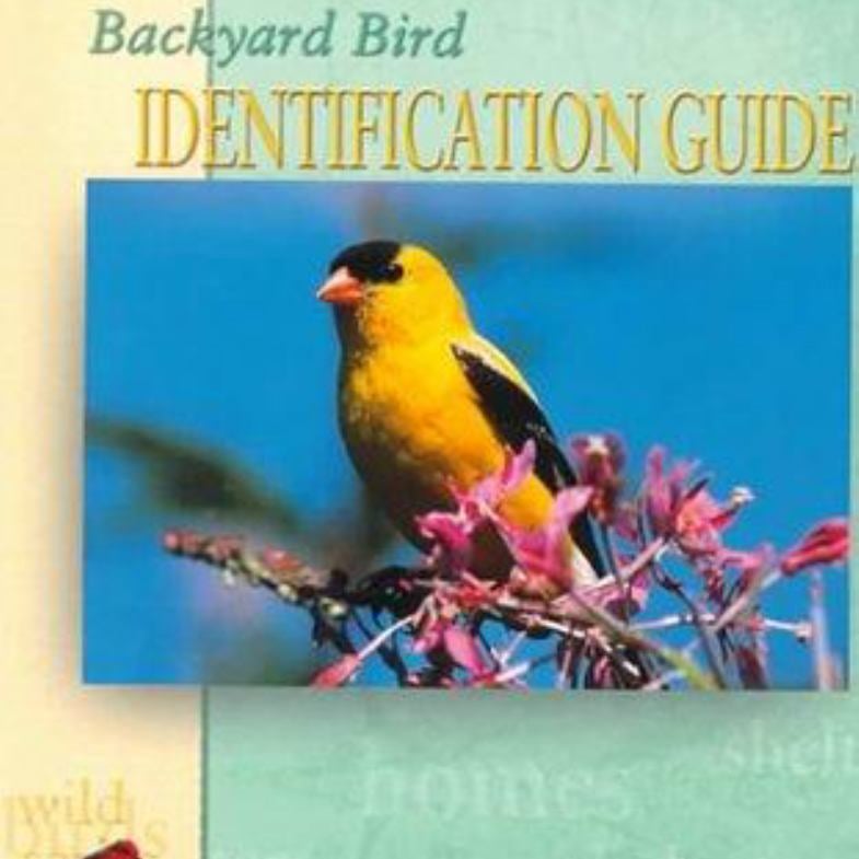 Backyard Bird Identification Guide by Jerry G. Walls