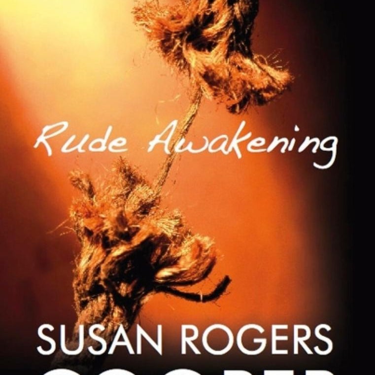 Rude Awakening By Susan Rogers Cooper Pangobooks