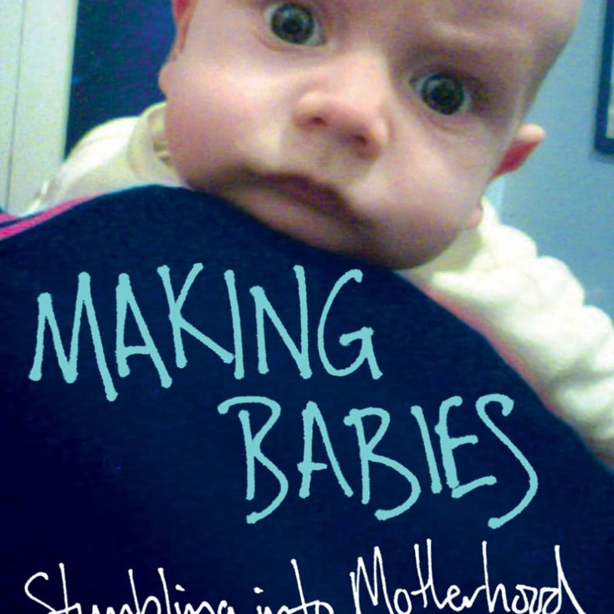 Making Babies by Anne Enright
