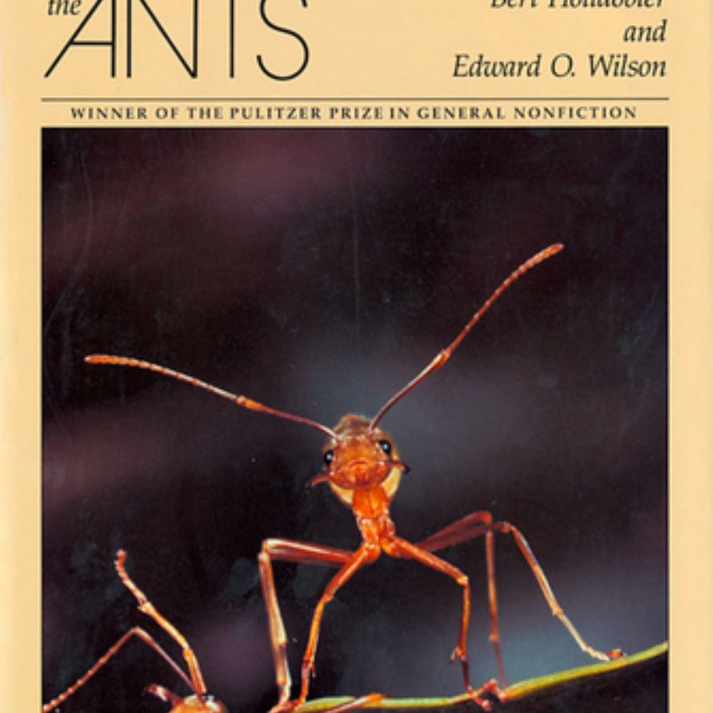 The Ants by Bert Hölldobler, Edward O. Wilson
