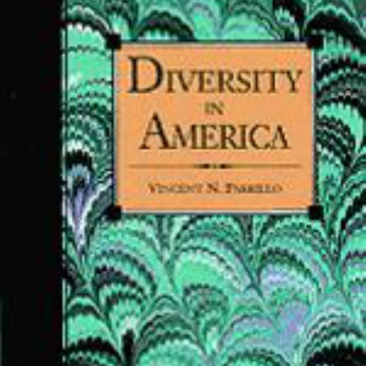 Diversity in America by Vincent N. Parrillo