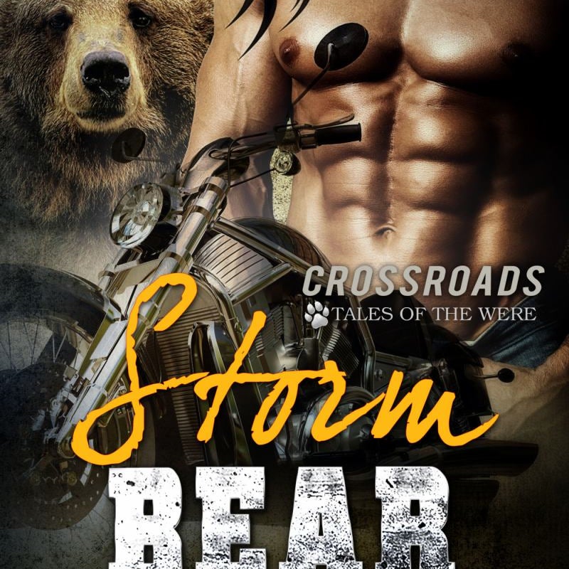 Storm Bear by Bianca D'Arc