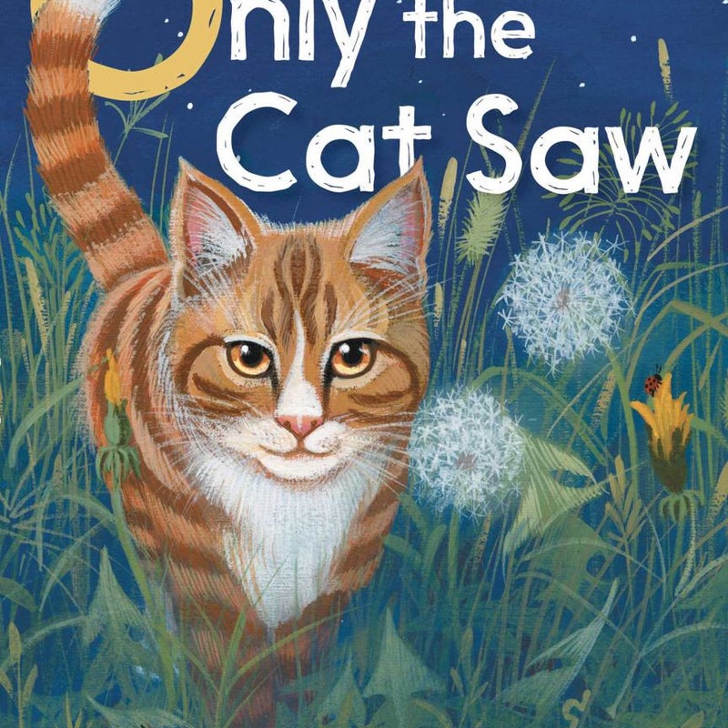 Only the Cat Saw by Ashley Wolff | Pangobooks