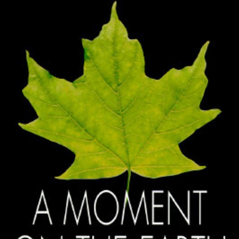 A Moment on the Earth by Gregg Easterbrook