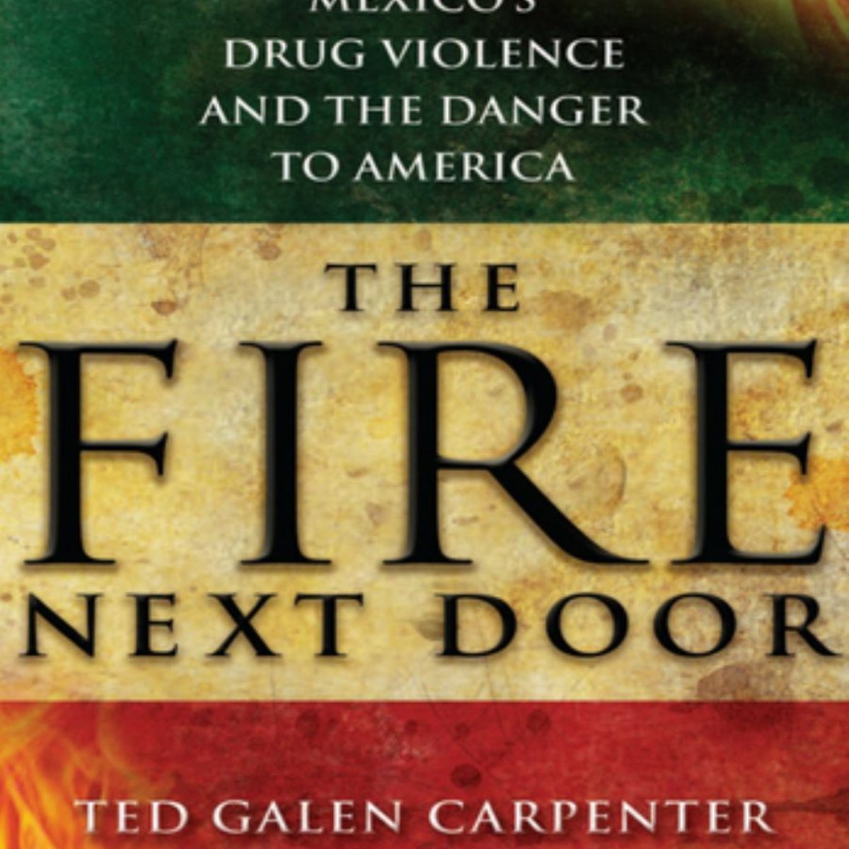 The Fire Next Door by Ted Galen Carpenter