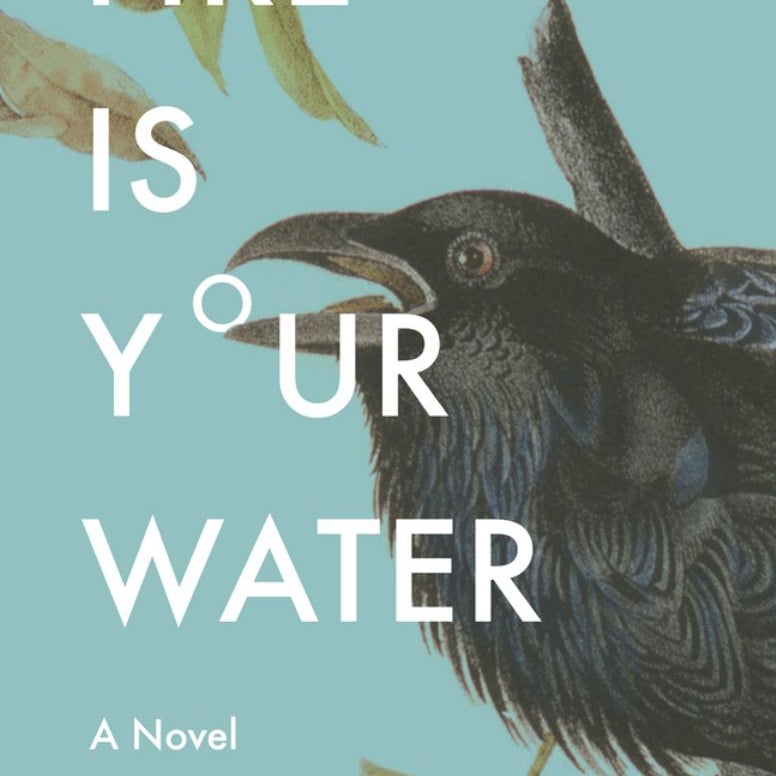 Fire Is Your Water by Jim Minick