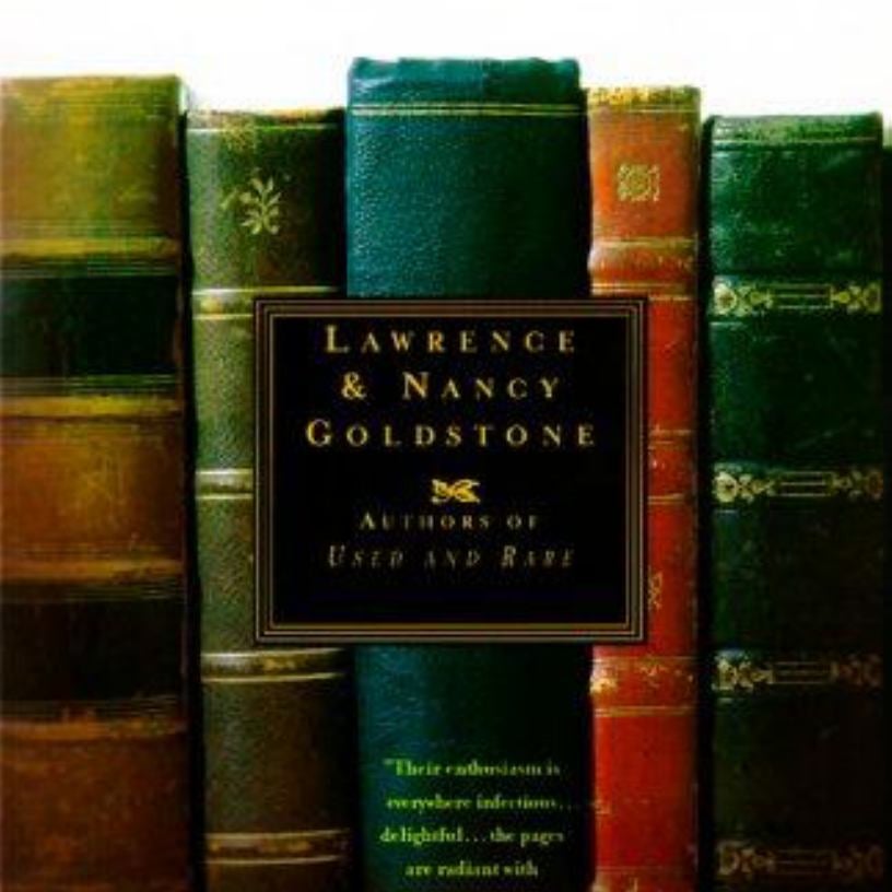 Slightly Chipped by Lawrence Goldstone, Nancy Goldstone