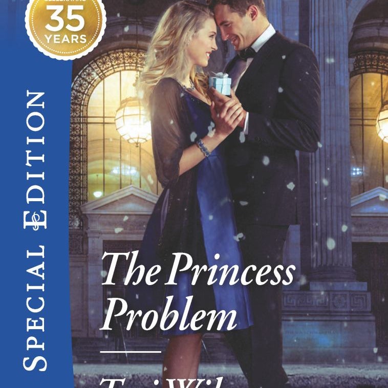 The Princess Problem by Teri Wilson | Pangobooks