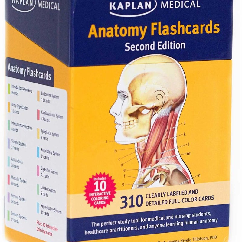 Anatomy Flashcards by Joanne Tillotson, Sonia Reichert, Stephanie McCann