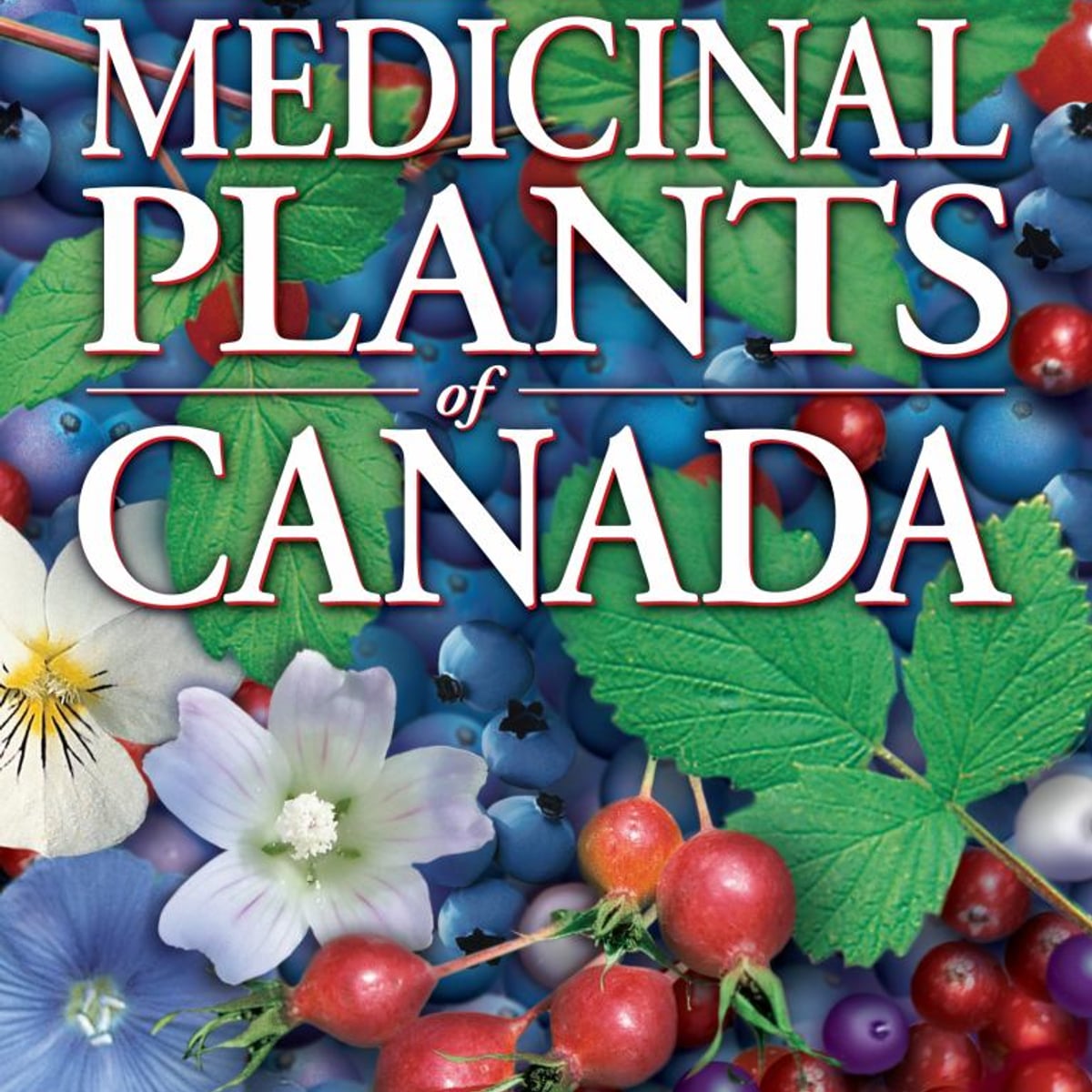 Edible and Medicinal Plants of Canada by Andy MacKinnon, Linda Kershaw ...