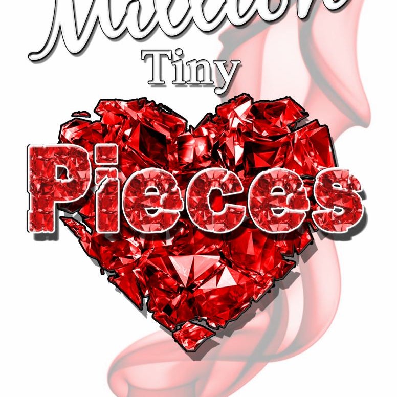 A Million Tiny Pieces by Nicole Edwards | Pangobooks