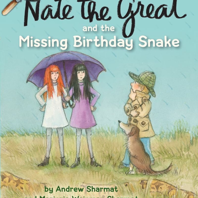 Nate the Great and the Missing Birthday Snake