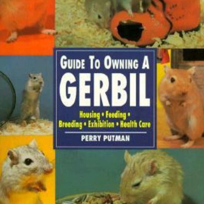 Guide to Owning a Gerbil by Perry Putman